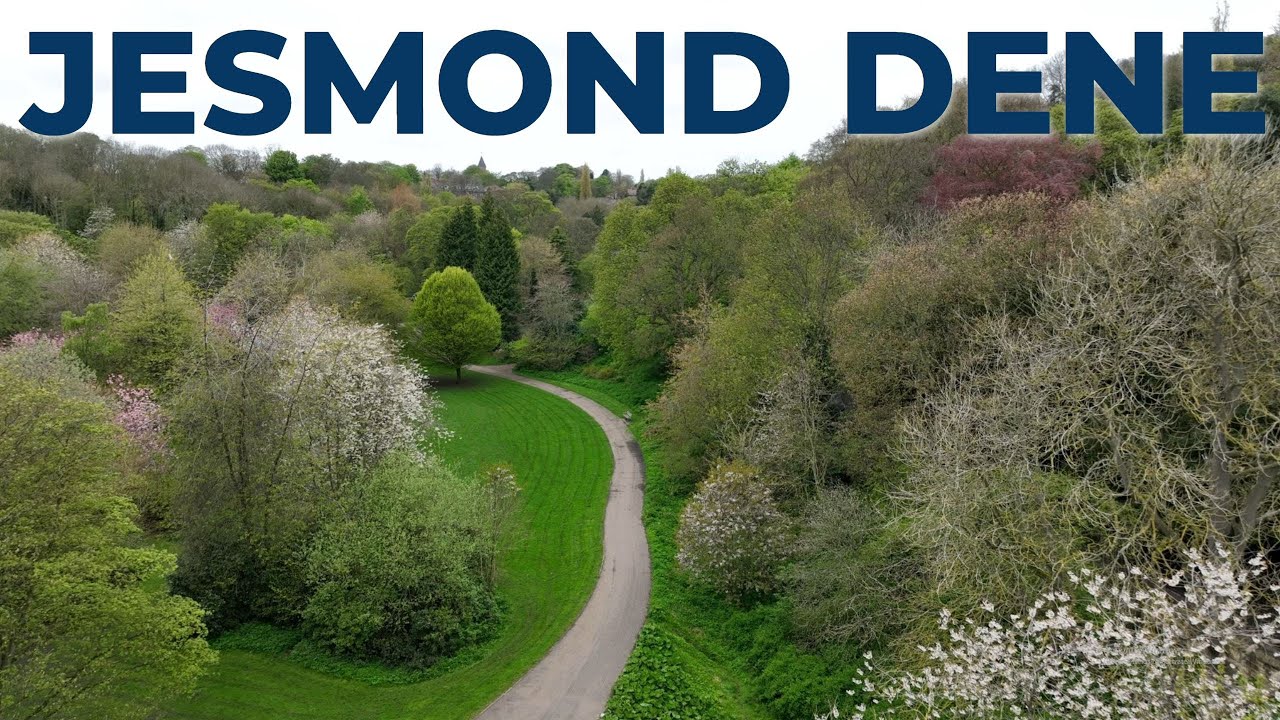 Jesmond Dene parkrun #105 [4K Aerial] - YouTube