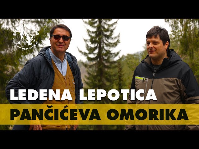 TV EMISIJA – Sasvim Prirodno | Jovan Memedović
