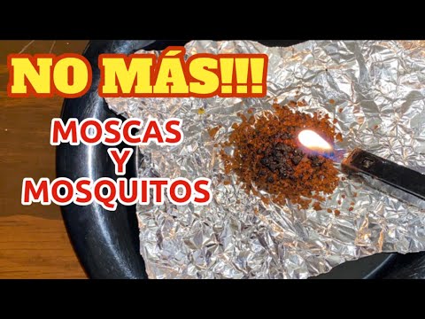 REMEDIO CASERO para ahuyentar Moscas y Mosquitos / Como hacer un ...