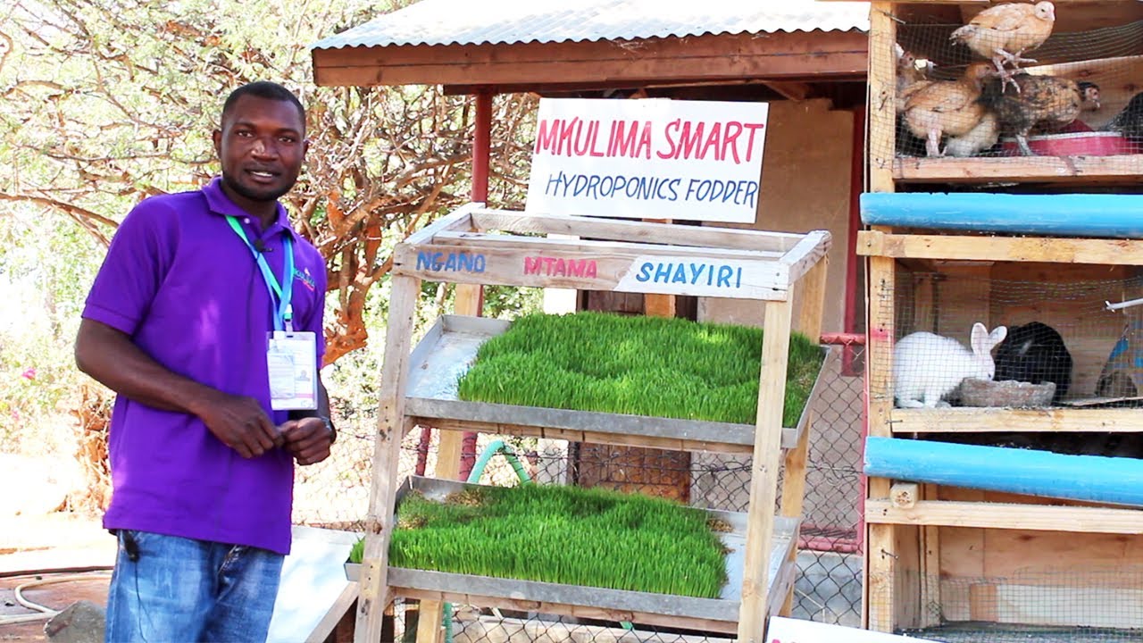 MKULIMA SMART (MKUSI): Kituo cha kilimo,mifugo na ujasiriamali ...
