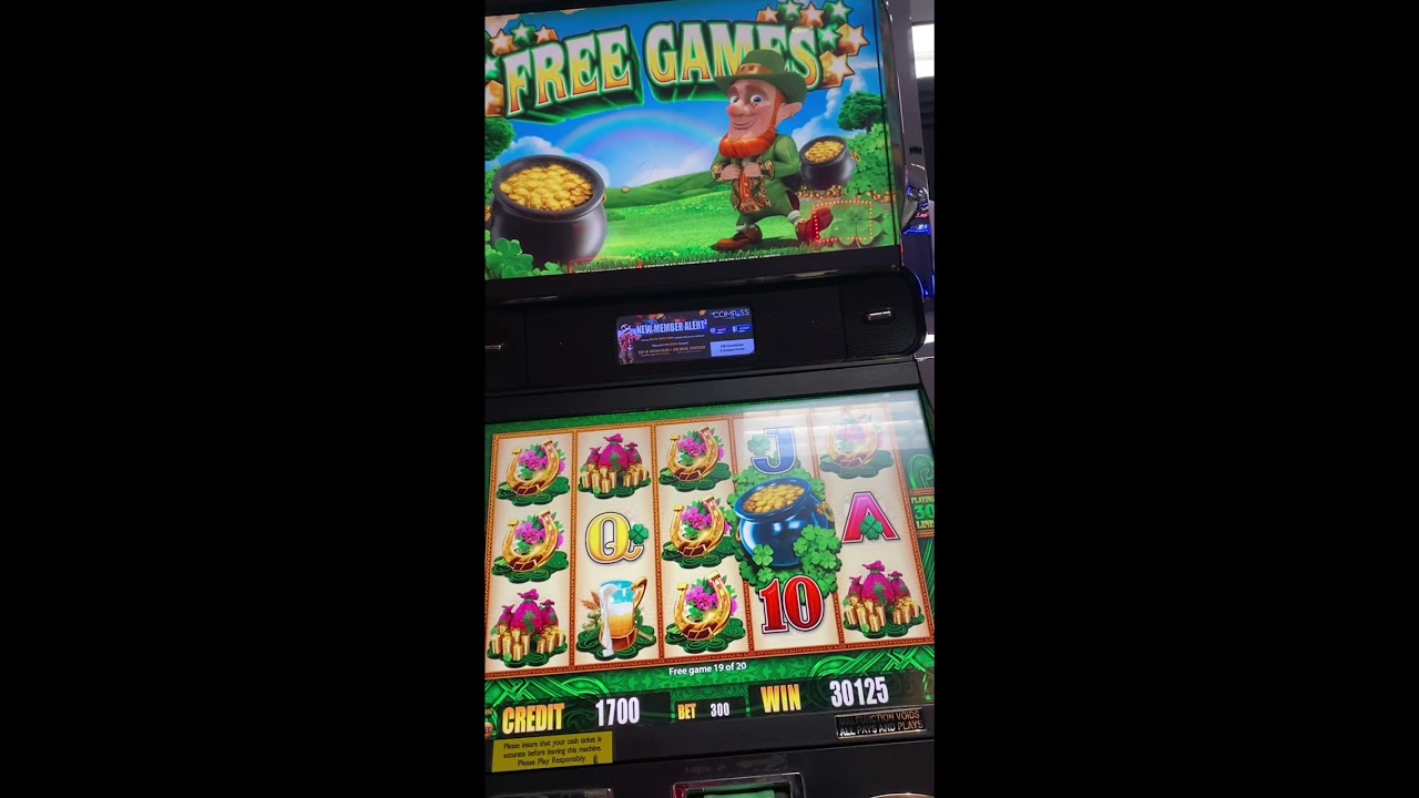 Extra wild Leprechaun and americoin bonus big win slot machine - YouTube