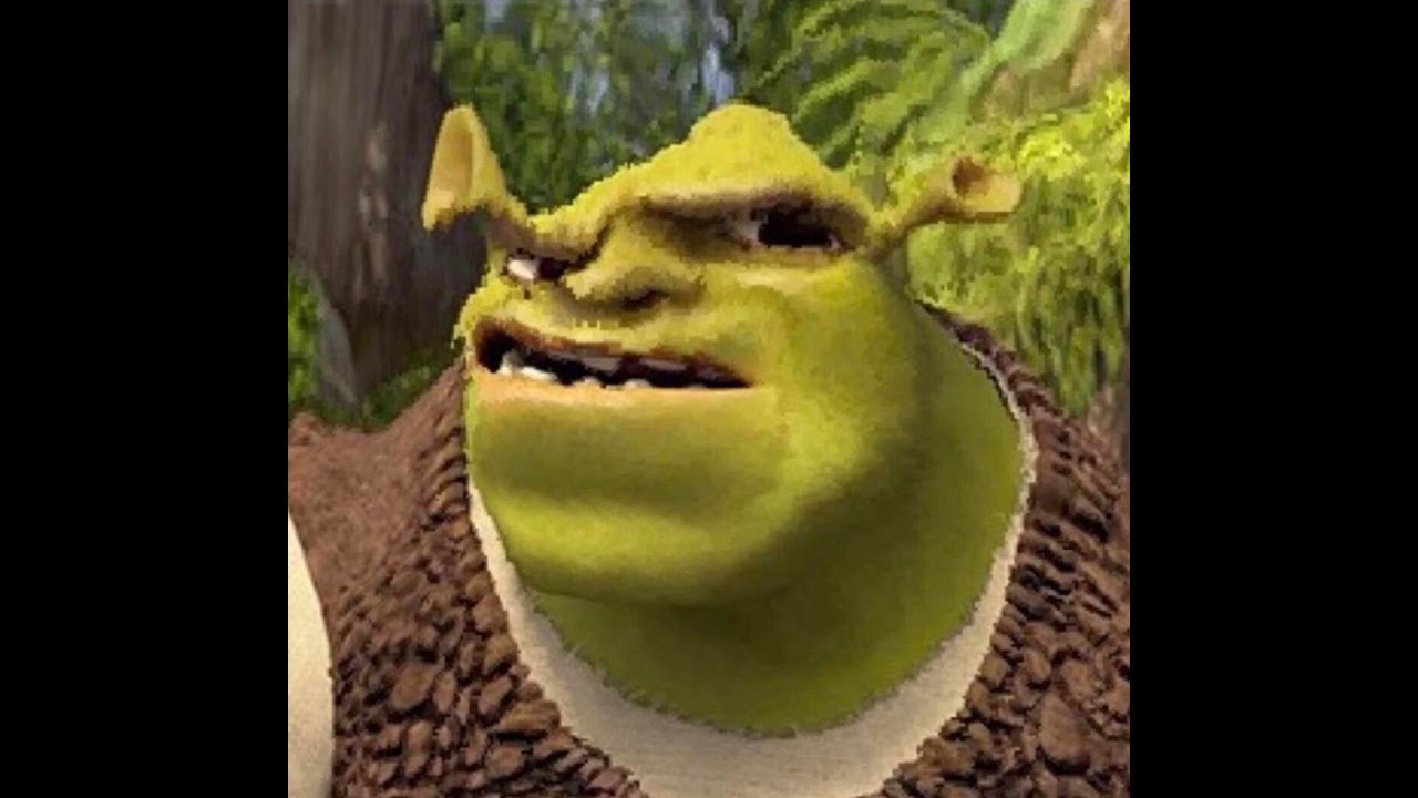 the most important brud brud video ever - YouTube