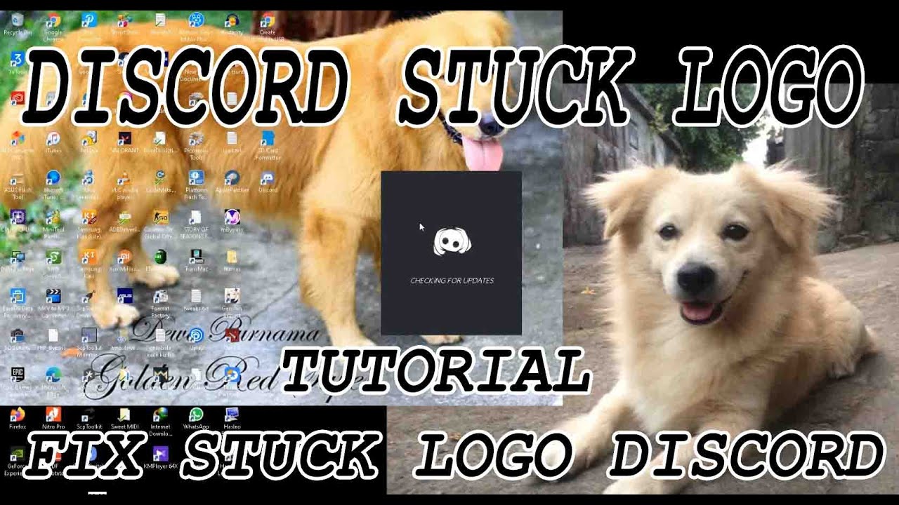 FIX DISCORD STUCK LOGO, TUTORIAL DISCORD STUCK - YouTube