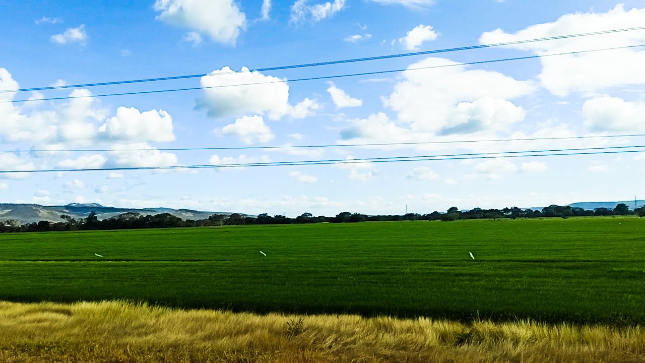 Asi son las arroceras en Sebaco Matagalpa Nicaragua tienes que verlo ...