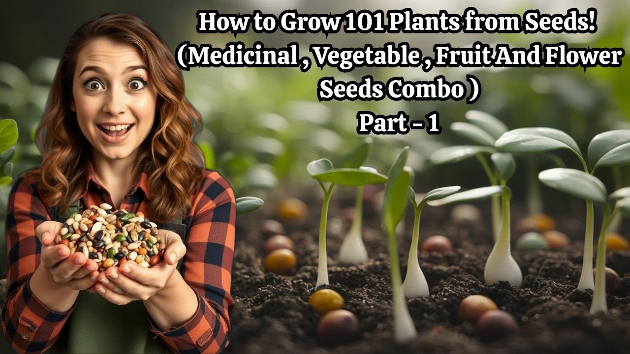 101 Seeds Medicinal , Vegetable , Fruit And Flower Seeds Combo Part - 1 - YouTube