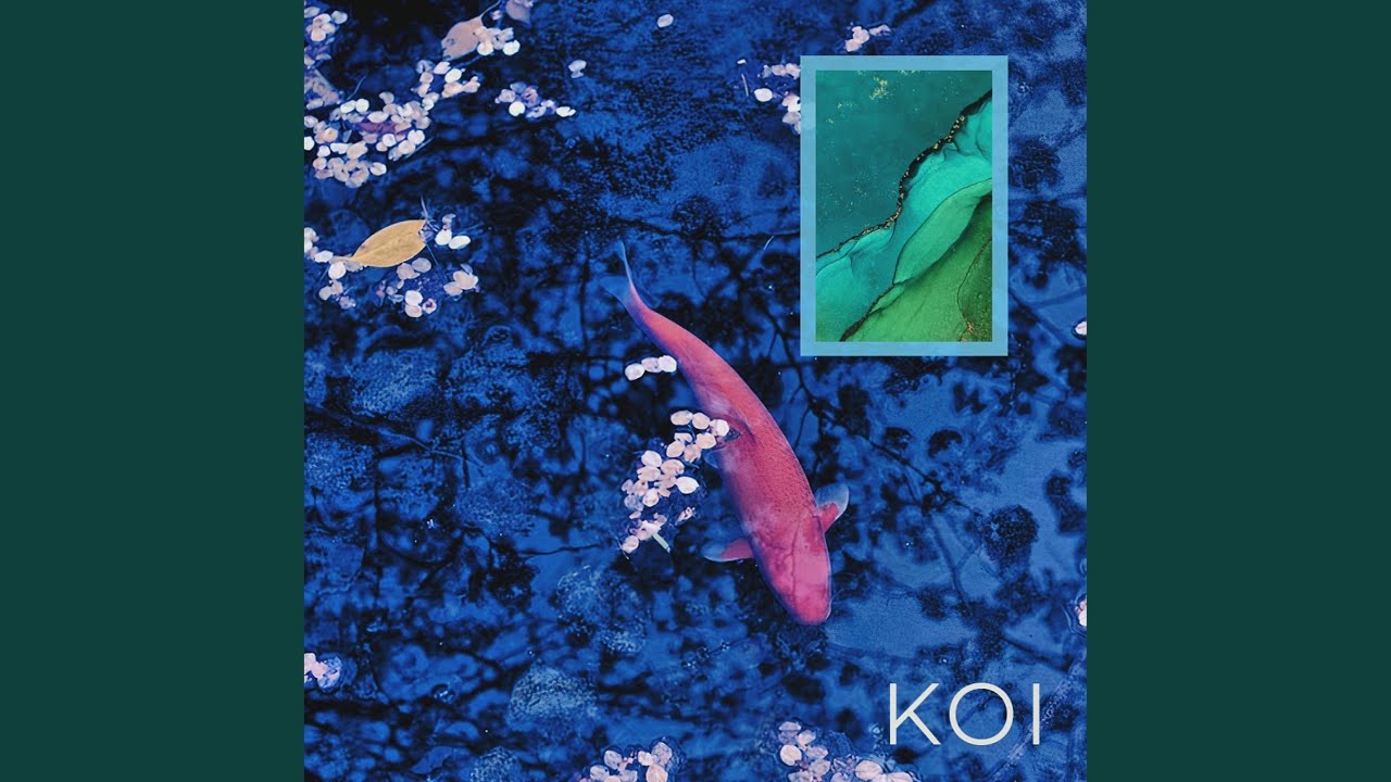 Koi - YouTube