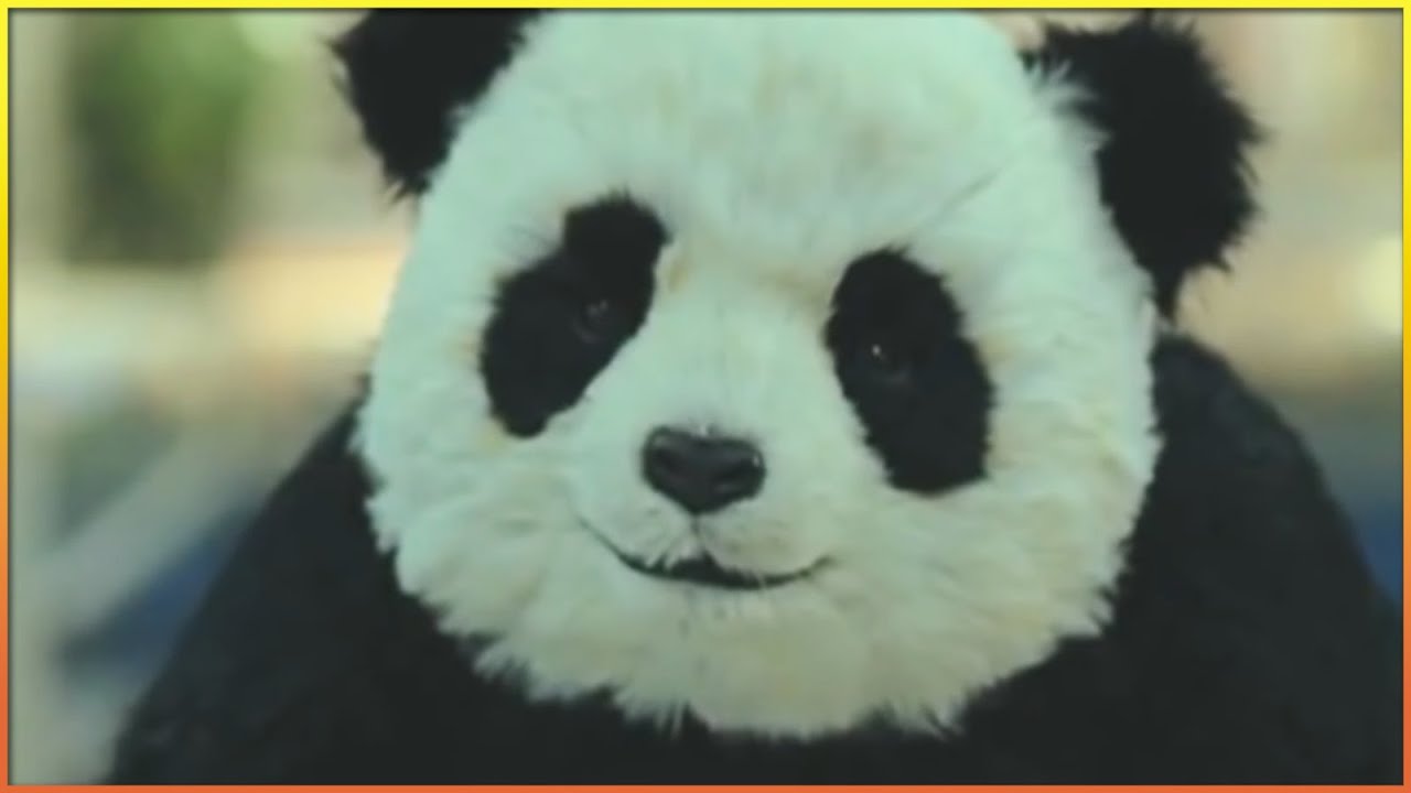 Funny "Panda" Commercials 🐼 - YouTube