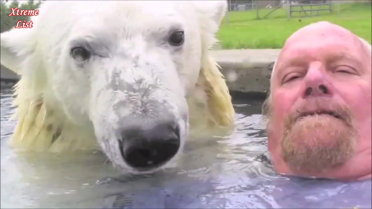Top 5 Most Incredible Friendships Ever - Man vs Wild Animals - YouTube