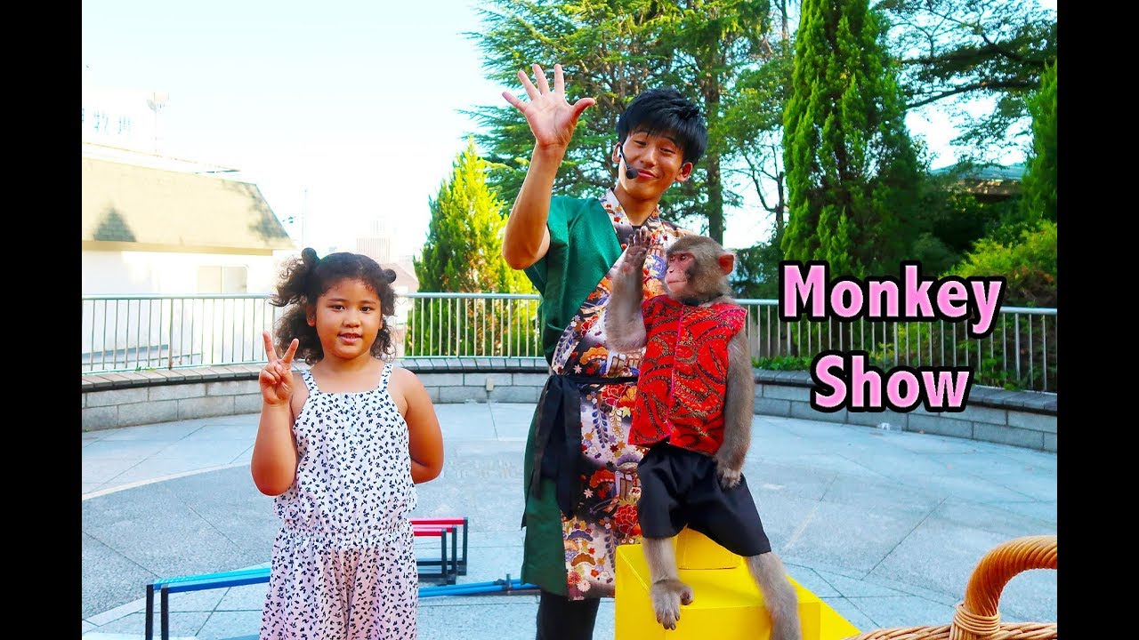 My Life in Japan: Monkey Show - YouTube