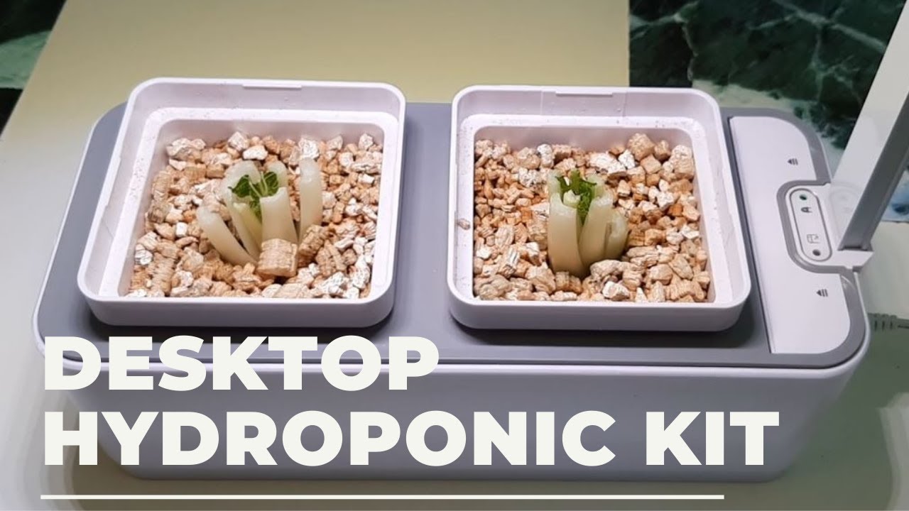 Unboxing : Desktop Hydroponic Kit - YouTube