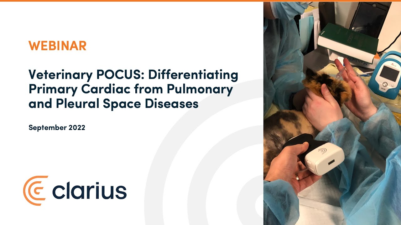 Veterinary POCUS: Differentiating Primary Cardiac from Pulmonary and ...