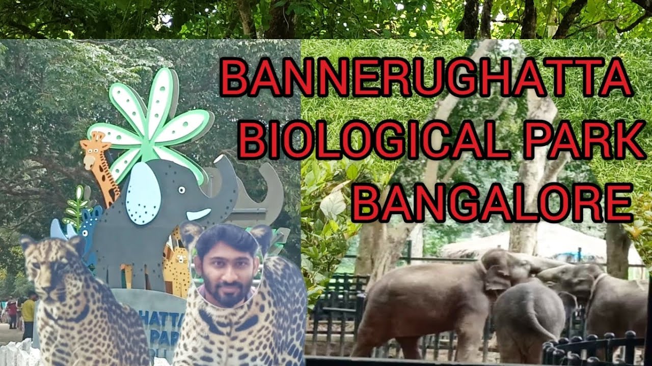 Bannerghatta National & biological park .Bengaluru Amazing Jungle ...