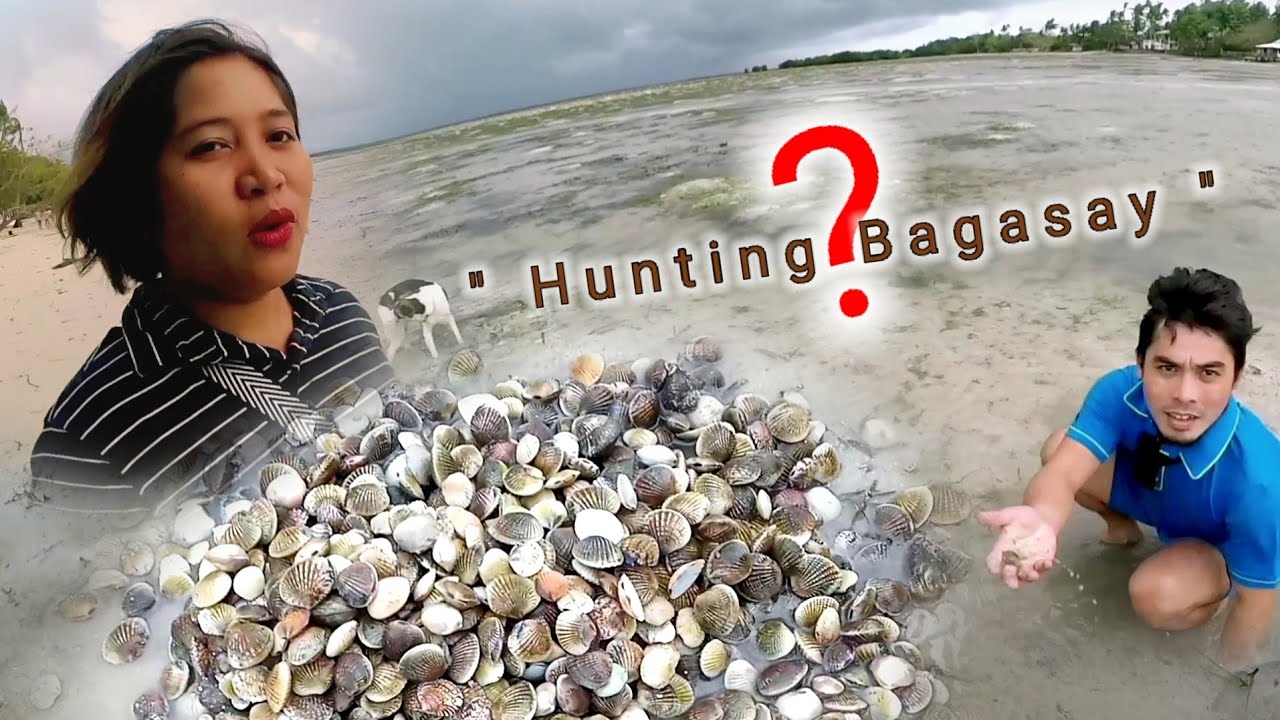 Paano manguha ng Bagasay? Catch & Cook | Ang Sarap ng Sabaw nito ...