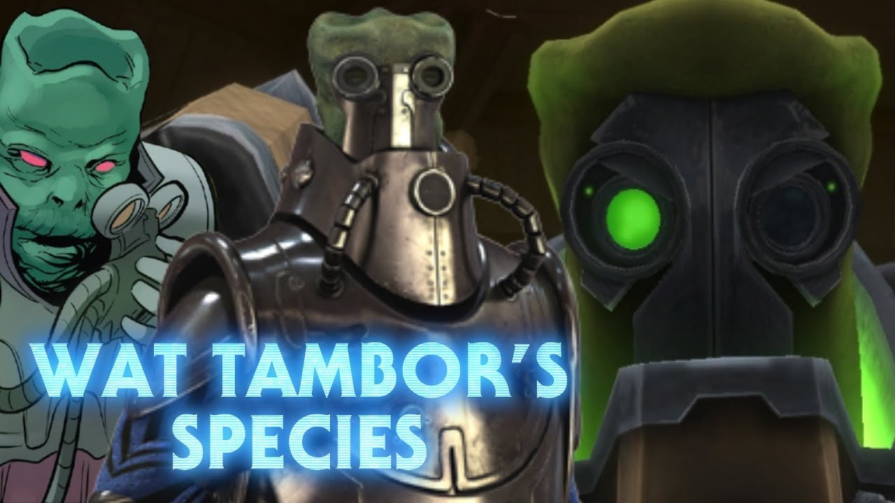 What Wat Tambor REALLY looks like | Skakoan Species Biology, Society ...