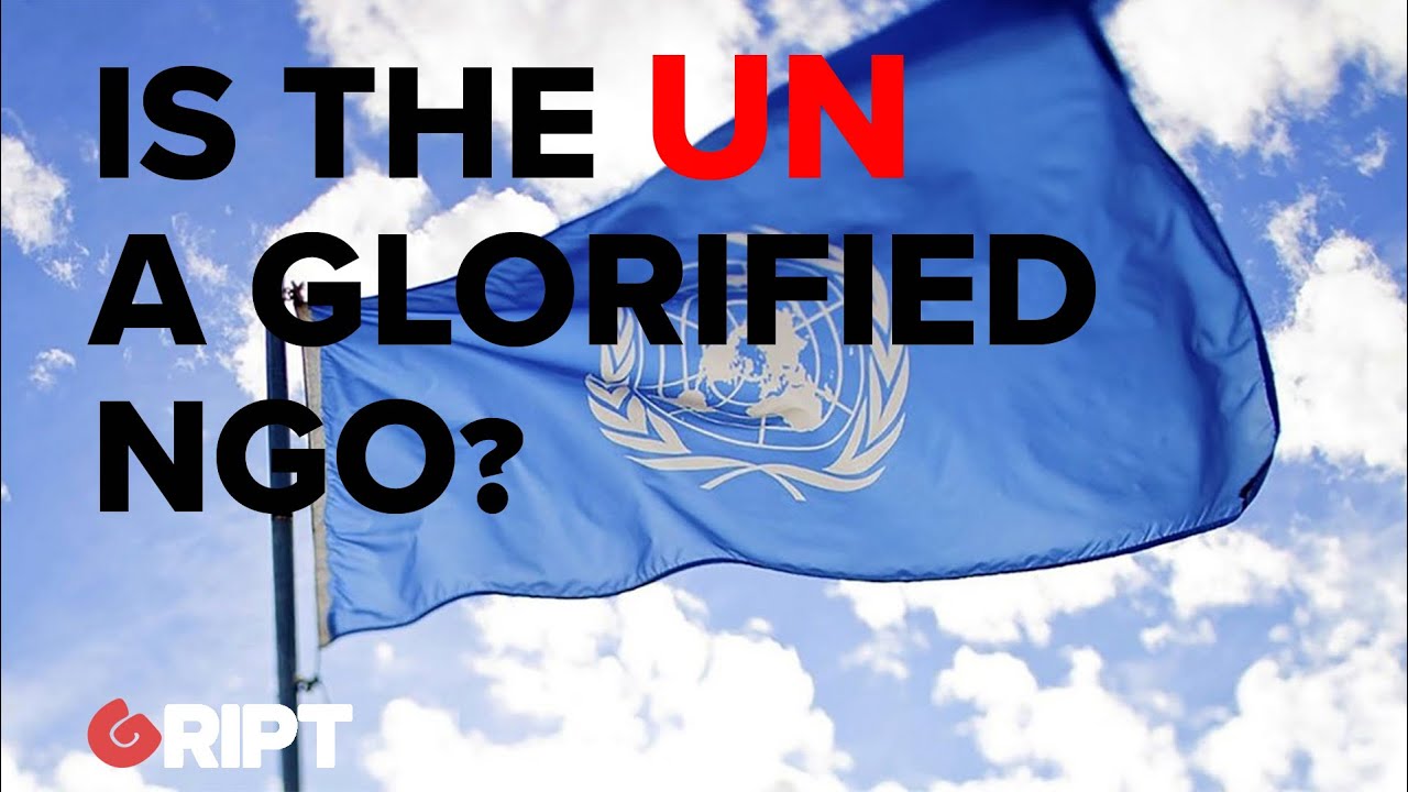 Ben Scallan asks if the UN is a glorified NGO? #gript - YouTube