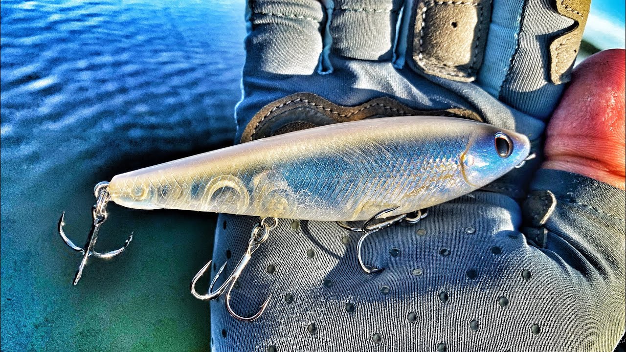 Fishing with the BERKLEY HIJACKER! | Explosive Strikes! - YouTube