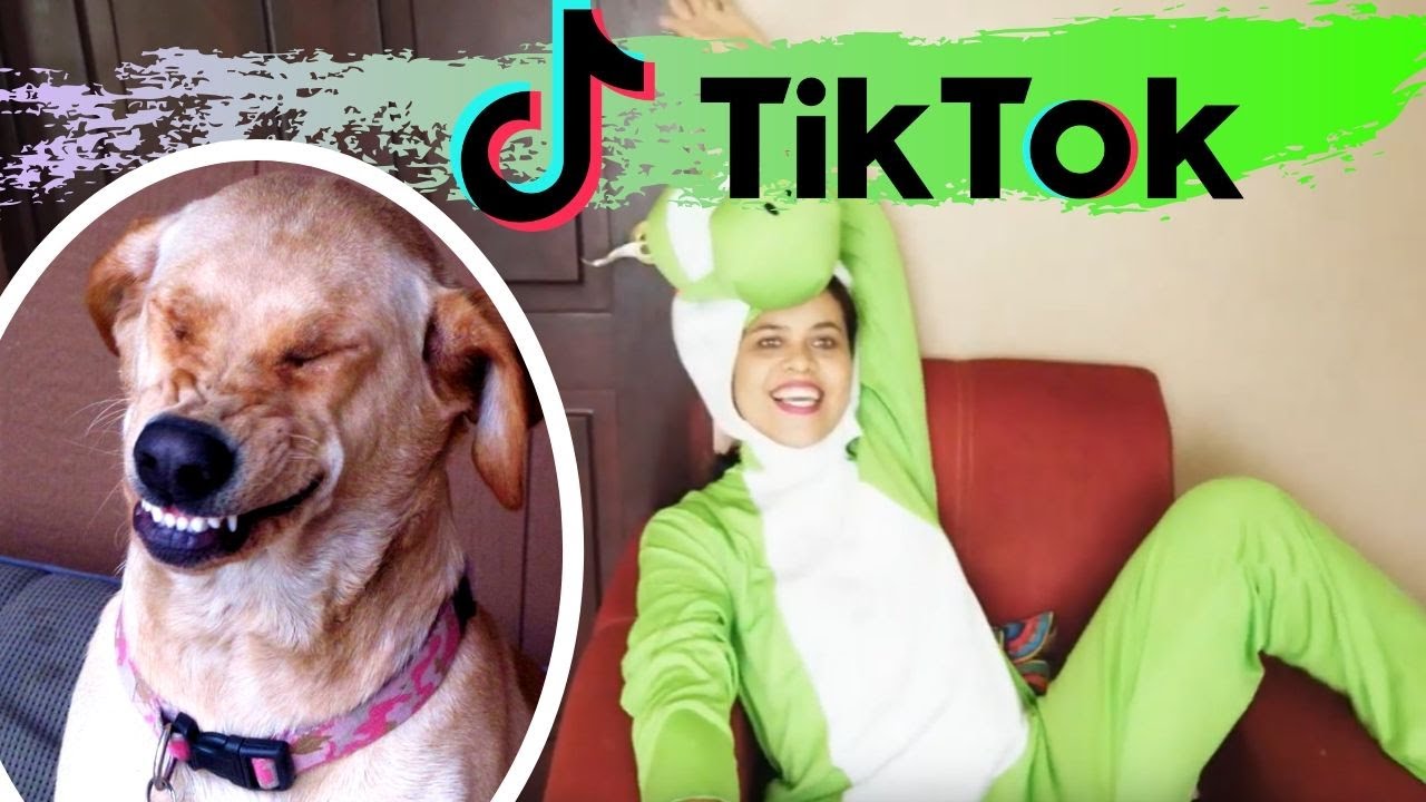 Los mejores Tik Tok de PERROS #TIKTOK - YouTube