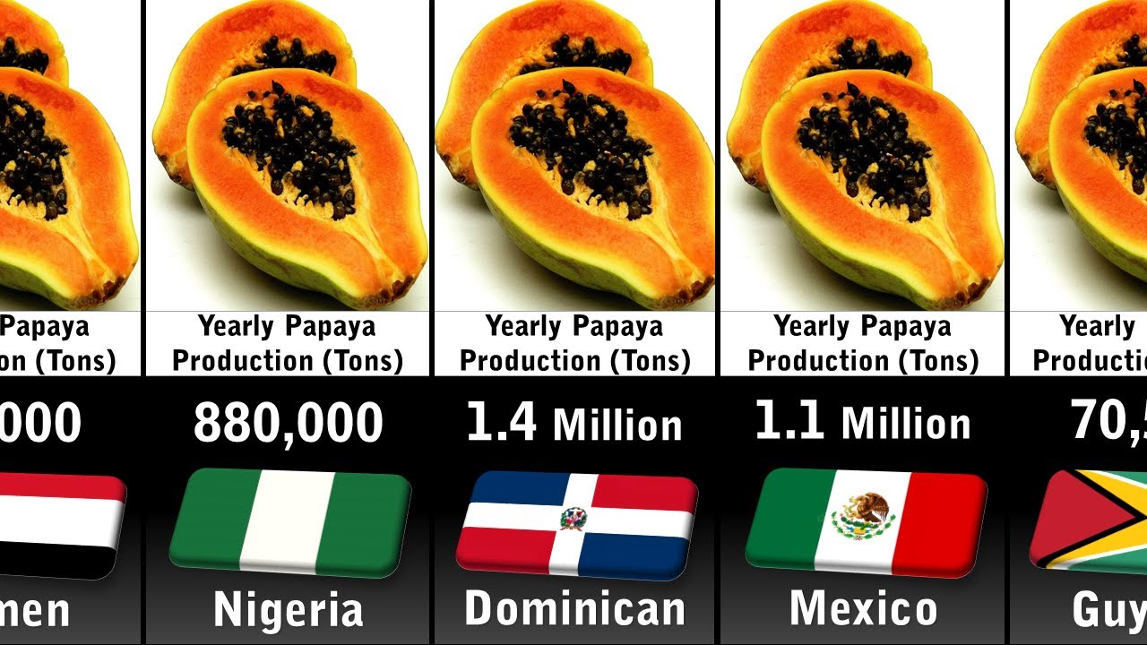 Papaya Production by Country 2023 - YouTube