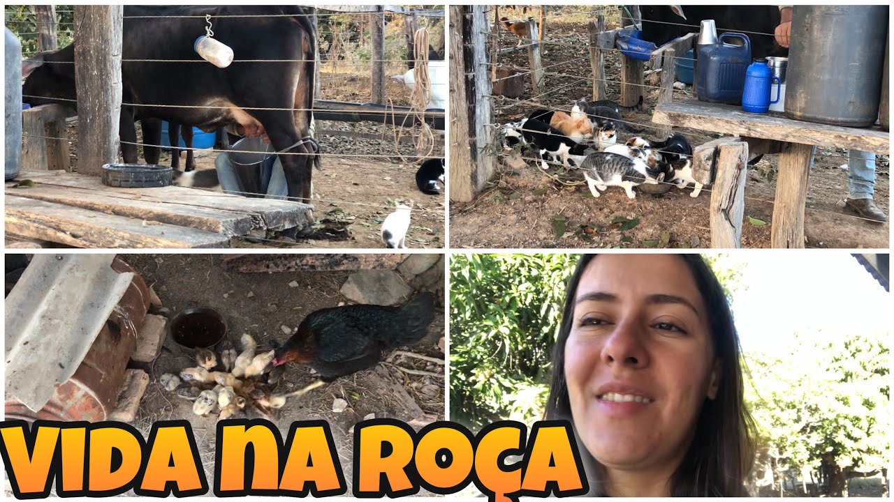 VIDA NA ROÇA - MORANDO NA ROÇA - ep.24 - YouTube