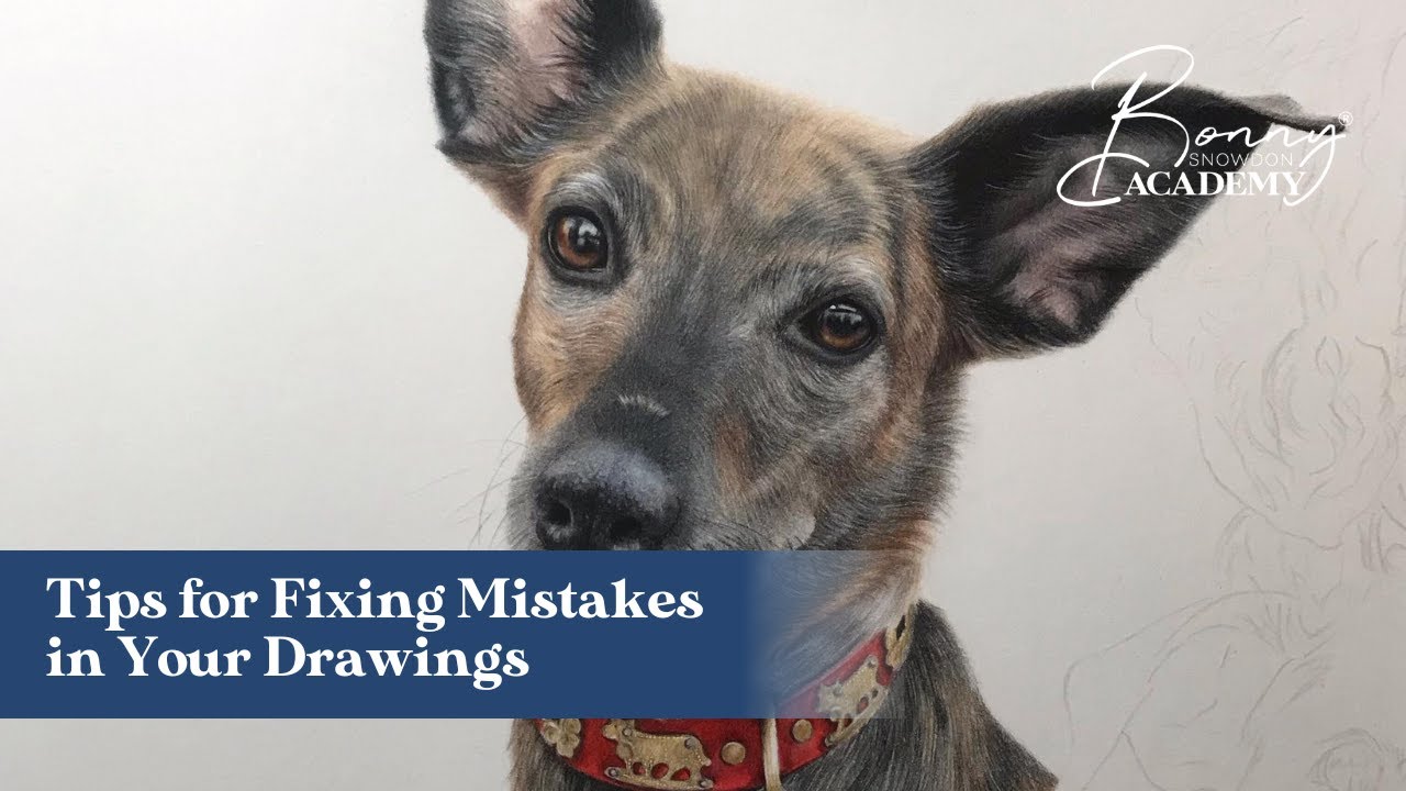 Fixing Mistakes in Your Drawings | Coloured Pencil Tips - YouTube