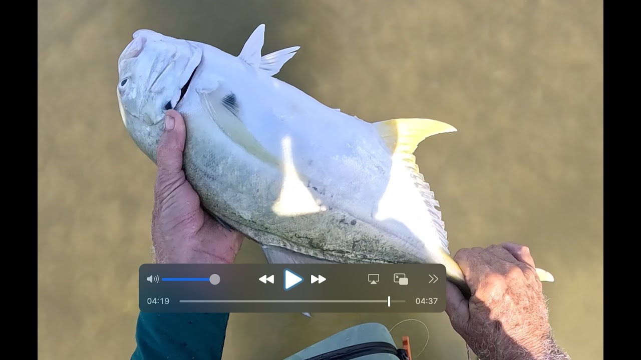 Jacks on the fly - YouTube