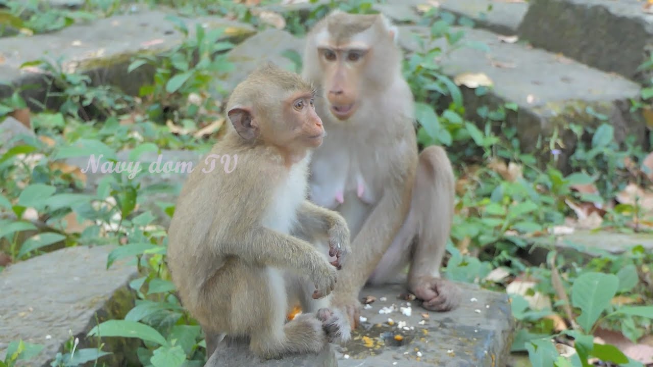 Lucky Rainbow Mango Munching Libby: A Fruitastic Family Bond for mango and peach - YouTube