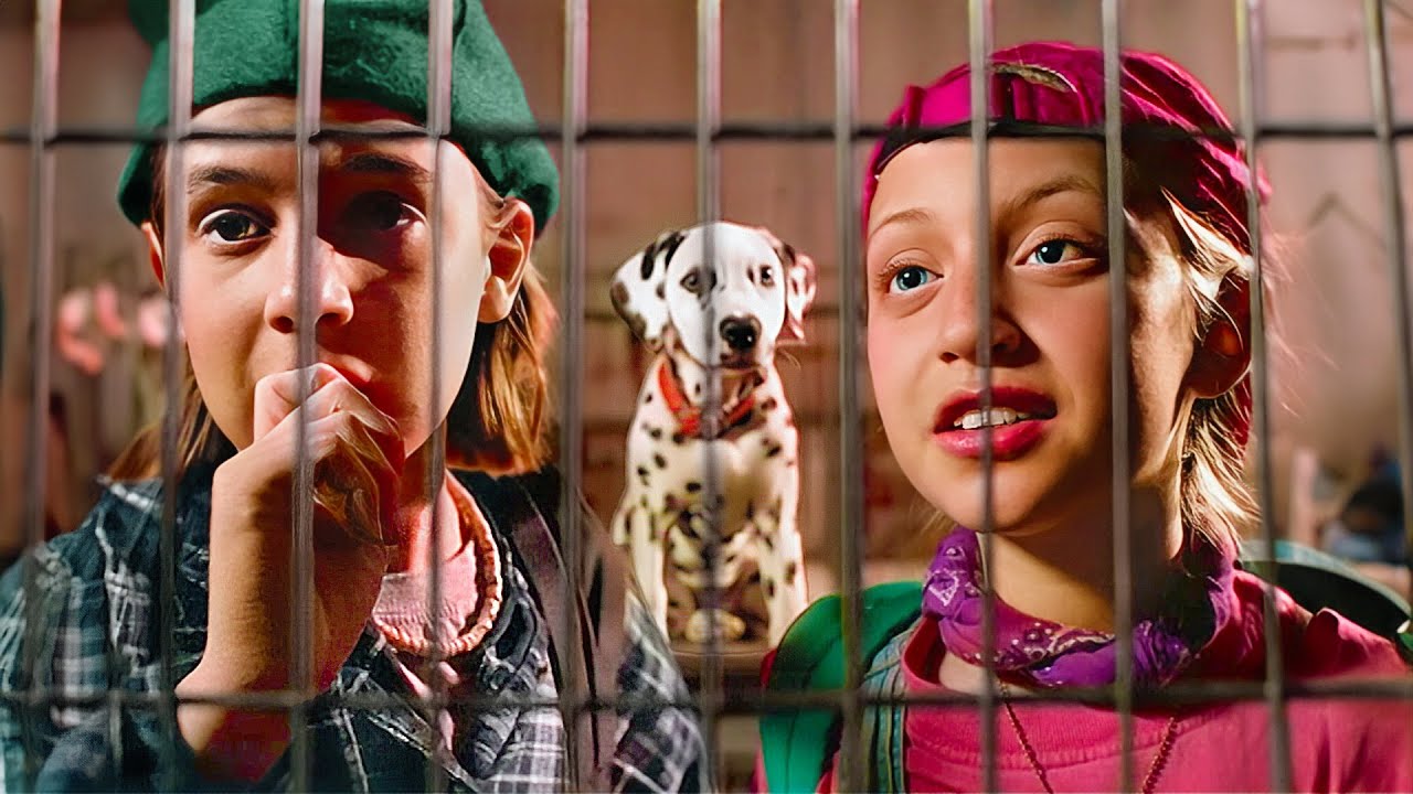 The Dog Rescue | COMEDY, FAMILY | Full Movie in English - YouTube