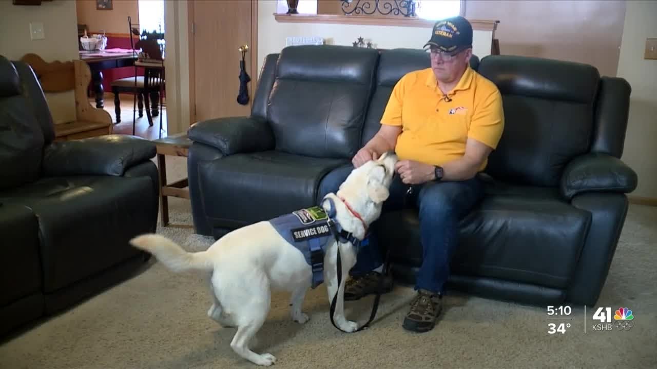 Veteran explains how service dog, Retrieving Freedom changed his life ...