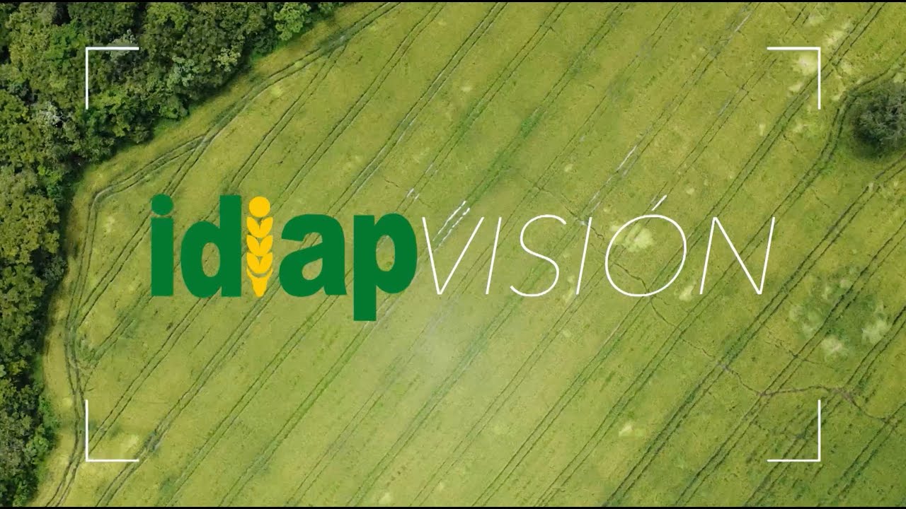 IDIAP VISIÓN | Temporada 1 - Capítulo 1 - YouTube