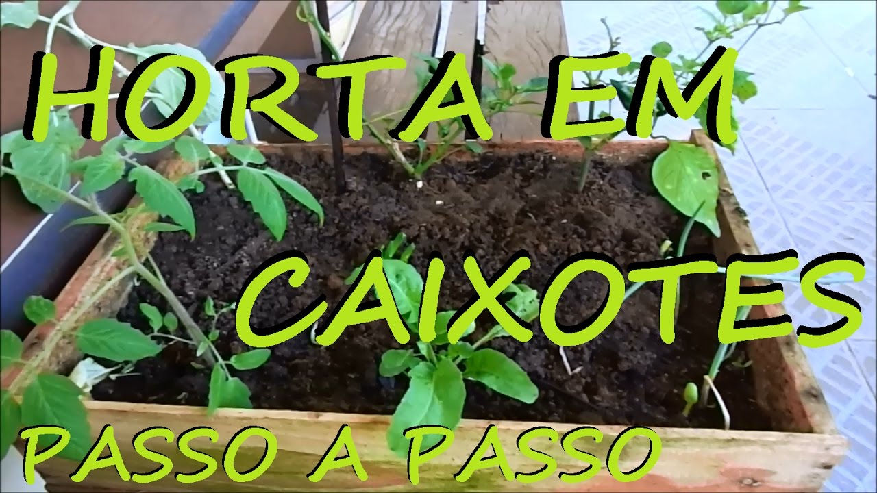 HORTA EM CAIXOTES DE MADEIRA PASSO A PASSO ! - YouTube