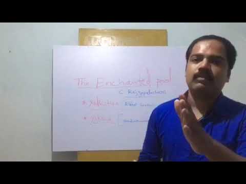 9th standard English first prose The Enchanted Pool (Part-1) - YouTube
