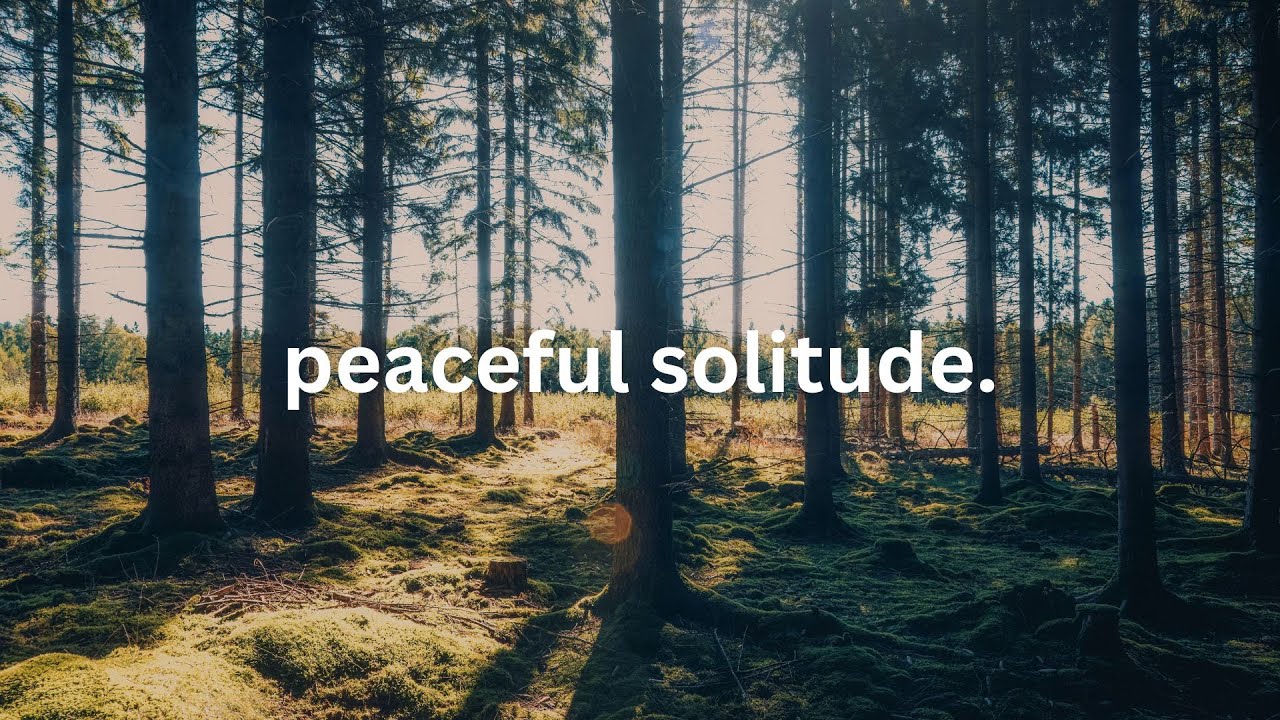 peaceful solitude. - YouTube