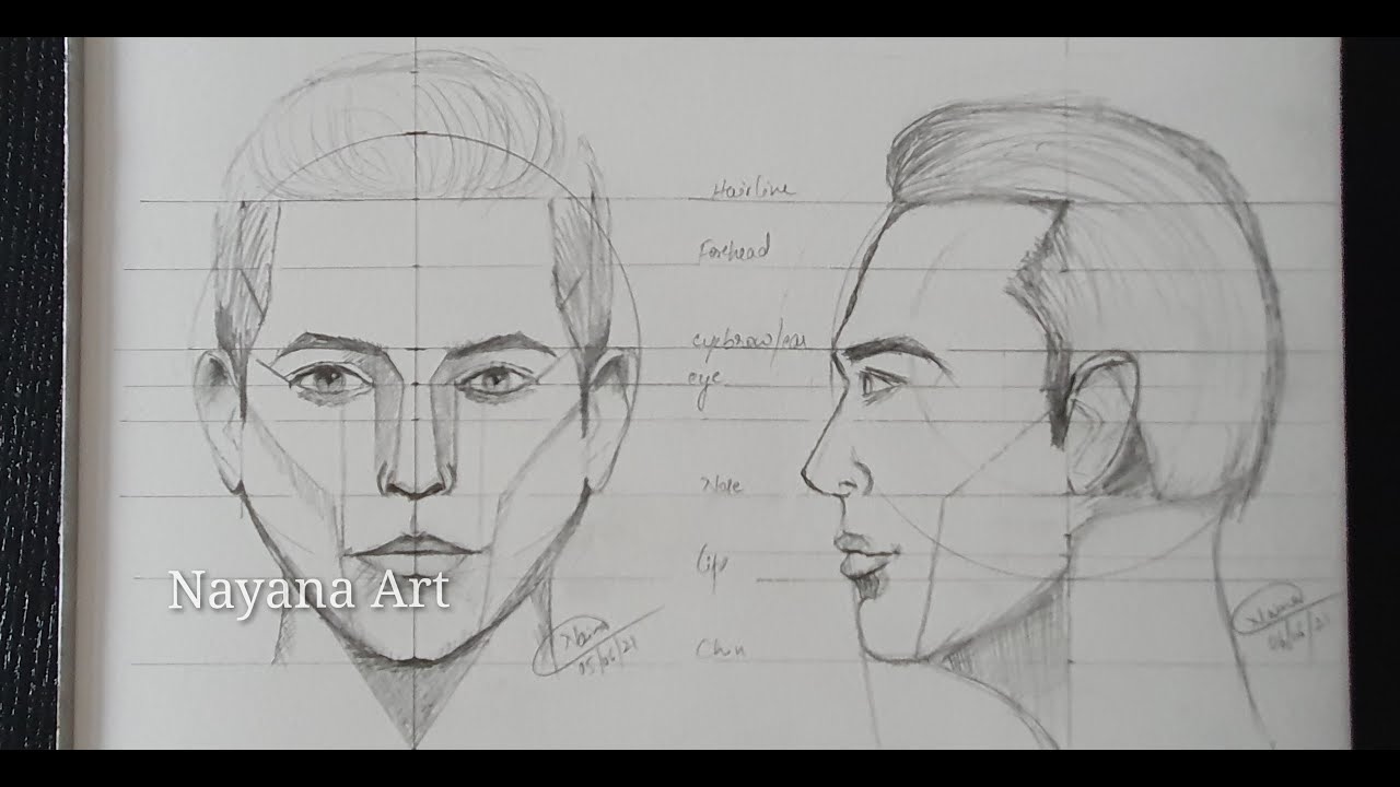 How to Draw a Face- Basic Proportions | Basic Proportions of a Face ...