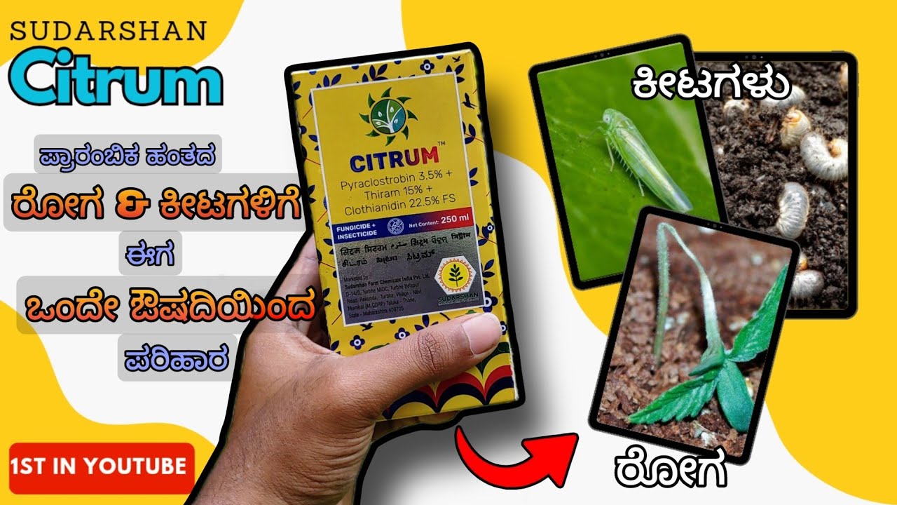 Sudarshan CITRUM product | 2 fungicides & 1 insecticide in a single ...