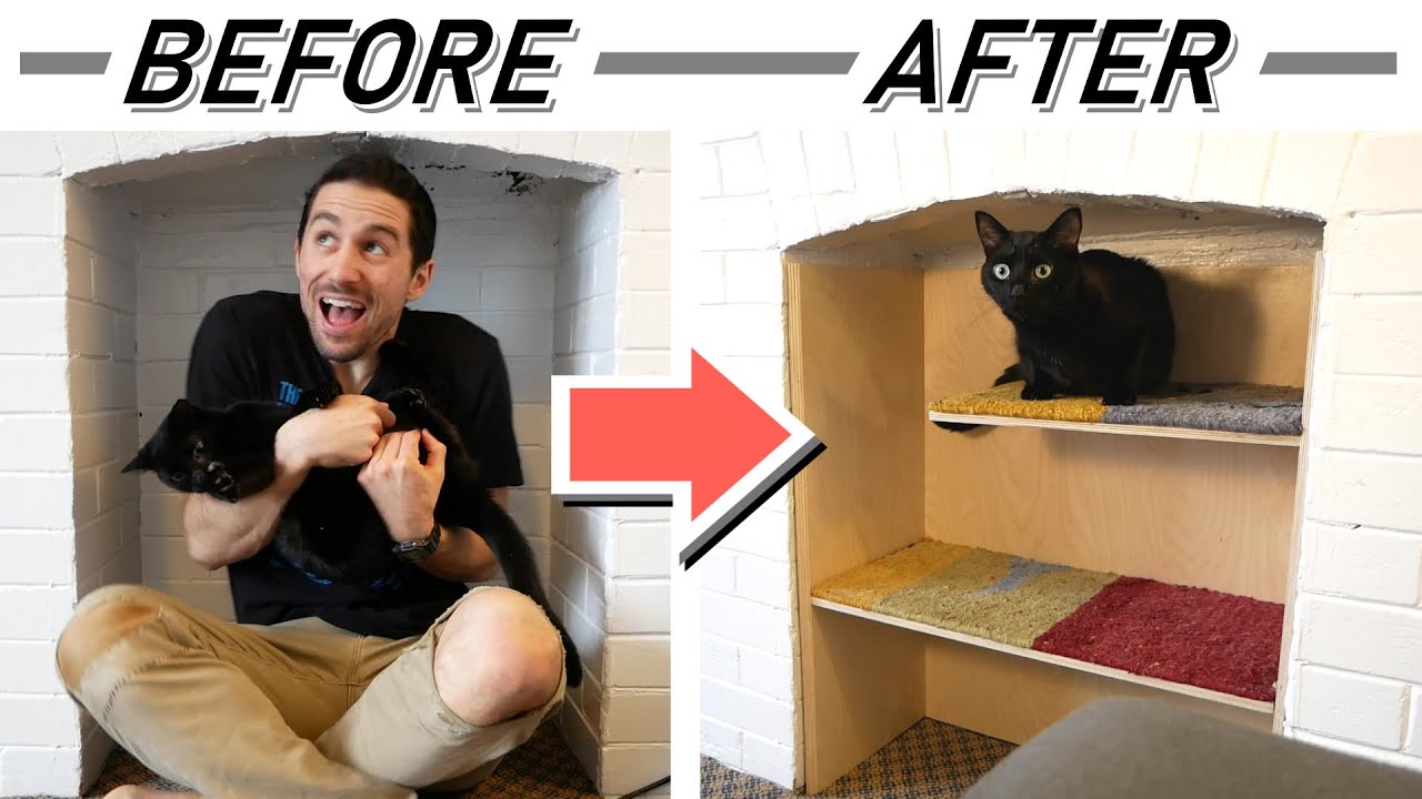 Turn an UNUSED FIREPLACE into a COZY CAT NOOK! - DIY Woodworking ...