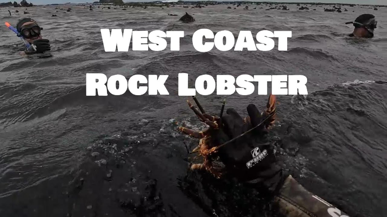 Spearfishing and Hunting Crayfish in Hangklip! - YouTube