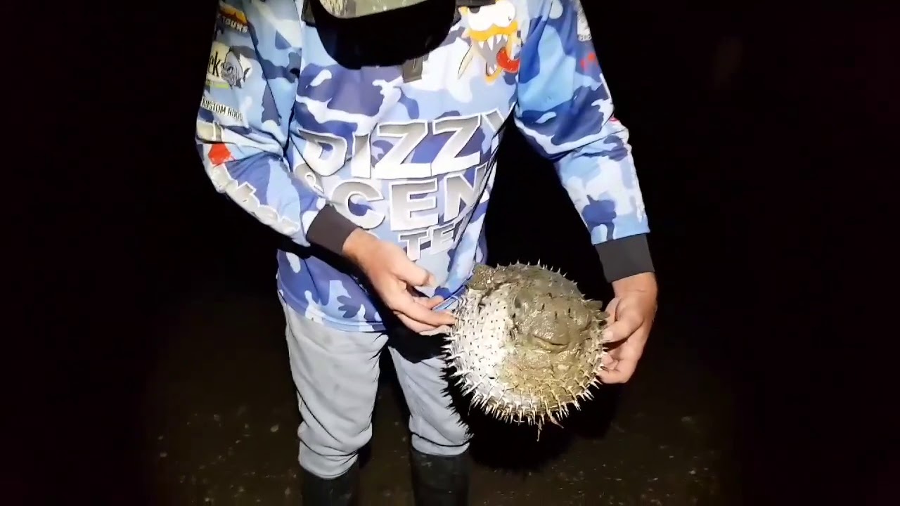 Spikey Football - YouTube