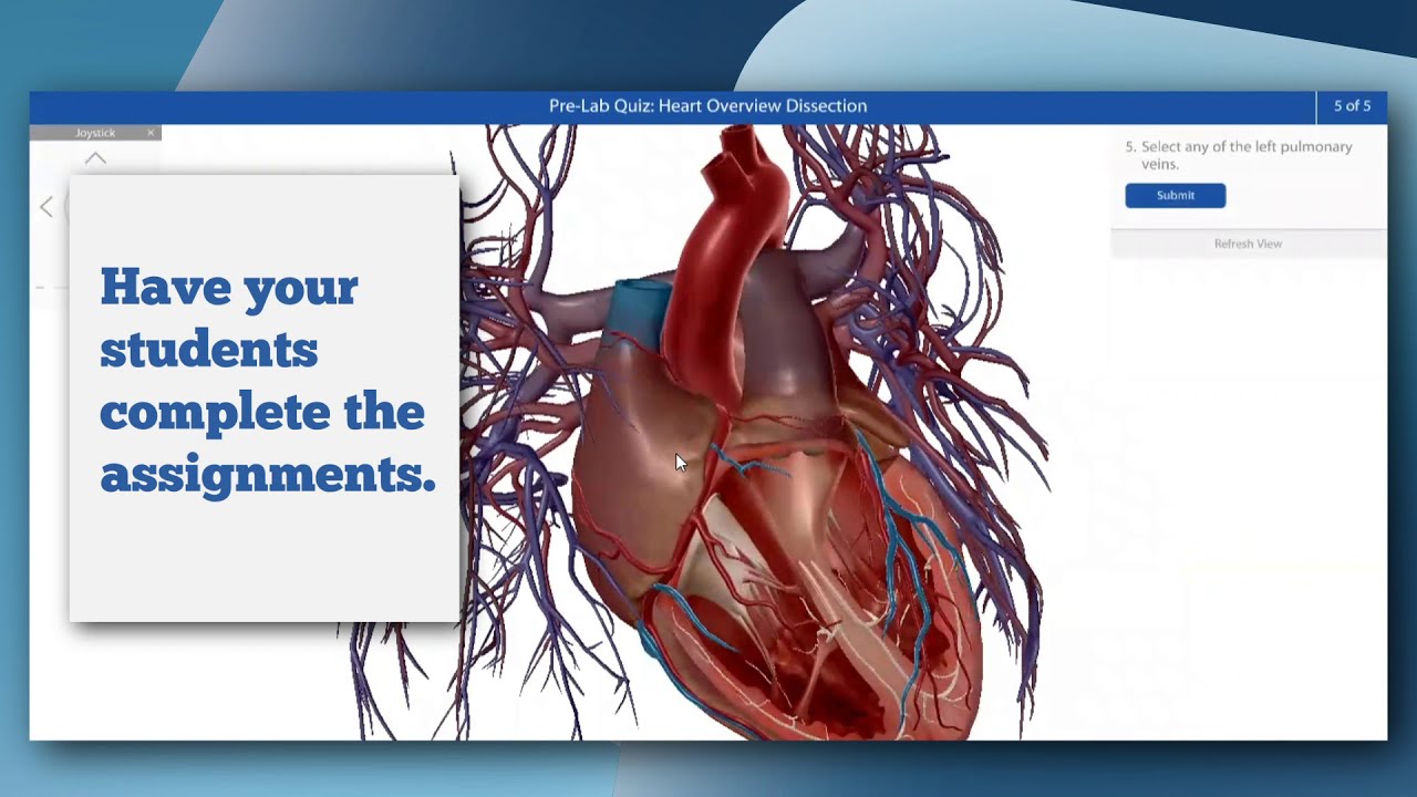 Visible Body | NEW! Autograded labs now in VB Courseware - YouTube