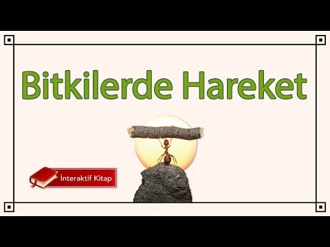 AYT Biyoloji | Bitkilerde Hareket #sayfa198