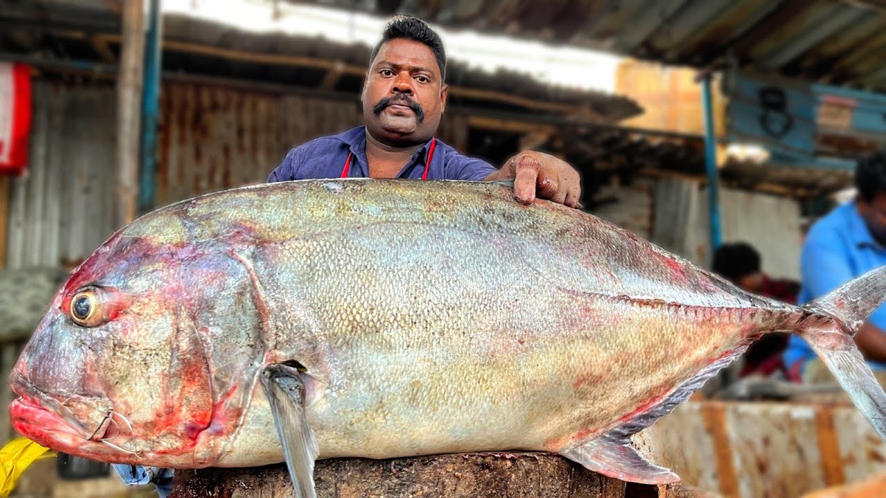 KASIMEDU 🔥 SPEED SELVAM | HUGE TRAVELLY FISH CUTTING VIDEO | 4K VIDEO ...