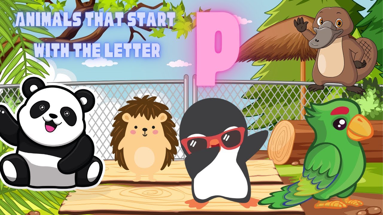 5 Amazing Animals That Start with P | Fun Facts for Kids! Kids animal ...