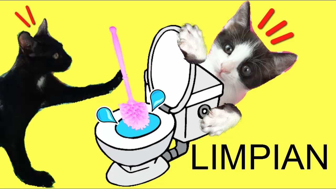 Bromas divertidas en el baño con mis gatos graciosos Luna y Estrella ...