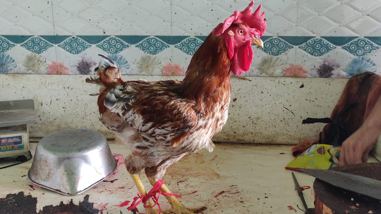 Full Desi Hard || Chicken Cutting Skills Best Style how || To Cut ...