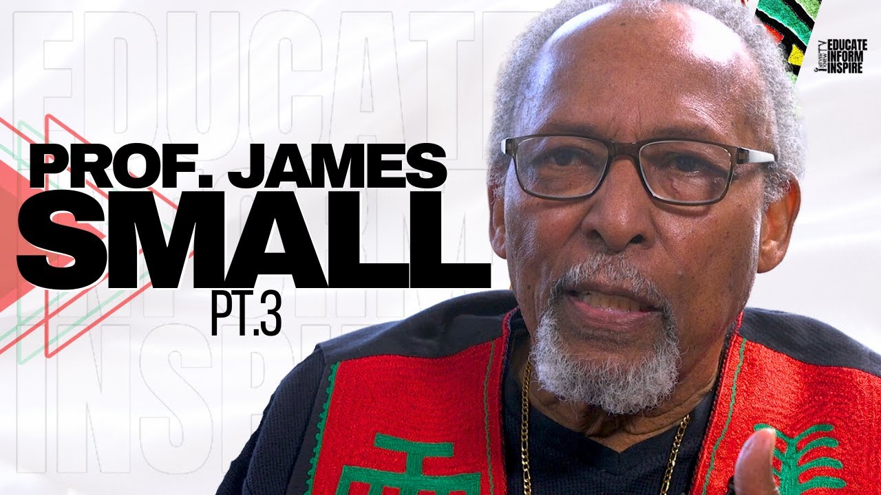 Prof. James Small On Black People Being Unaware Of The Economic War ...