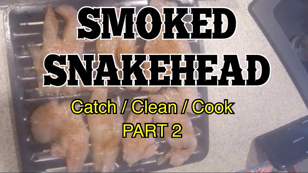 Smoked Snakehead catch /clean / cook Part 2 #pitbossnation #fishing # ...