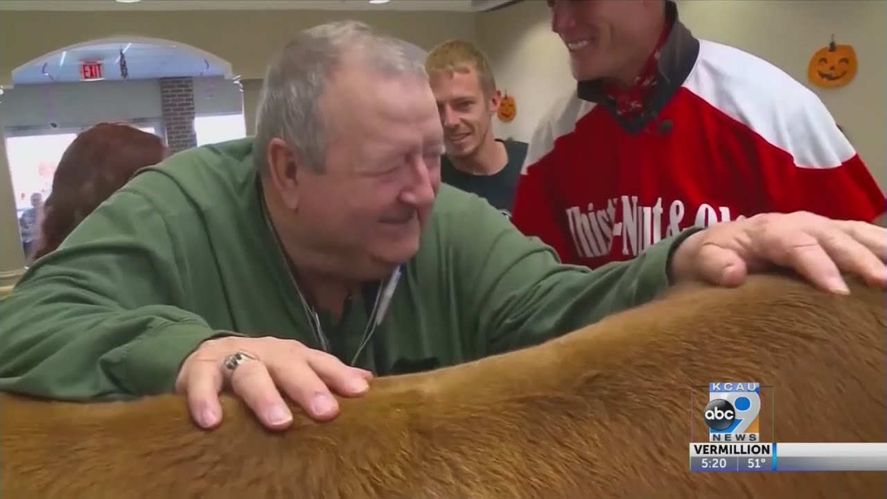Therapy Bull Visits Nursing Home - YouTube