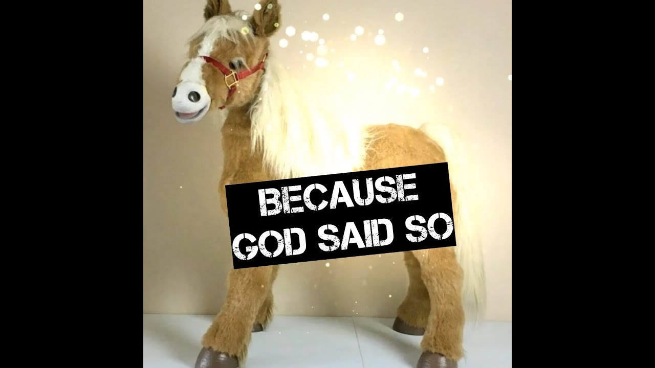 Because God Said So - YouTube