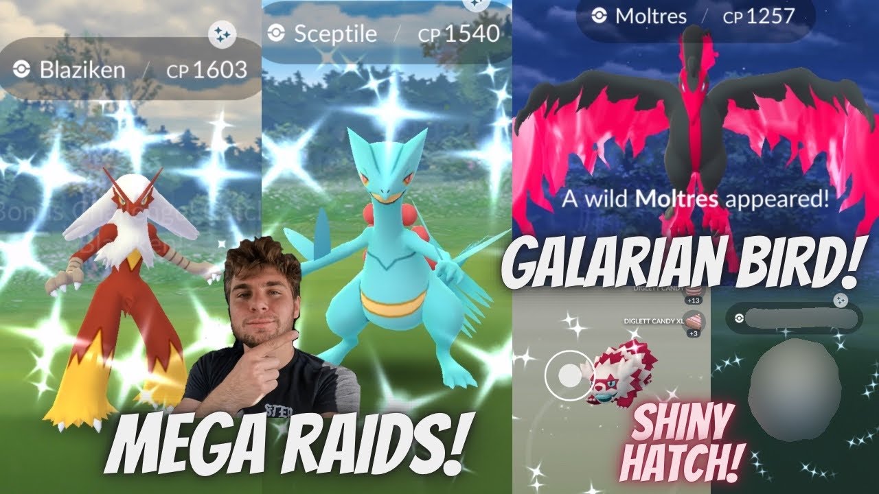 Mega Raids, Galarian Bird Encounter and Shiny Hatch! (Pokemon Go Mega ...