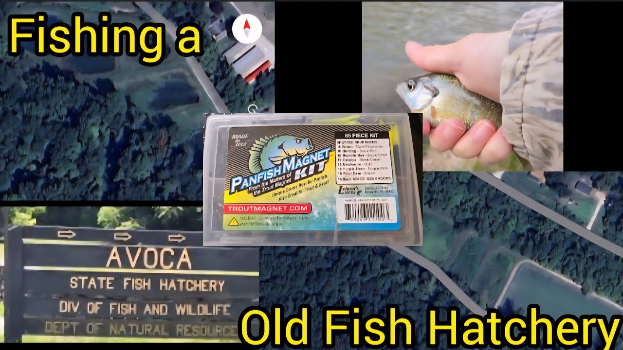 Fishing the Avoca Fish Hatchery- Avoca, Indiana - YouTube