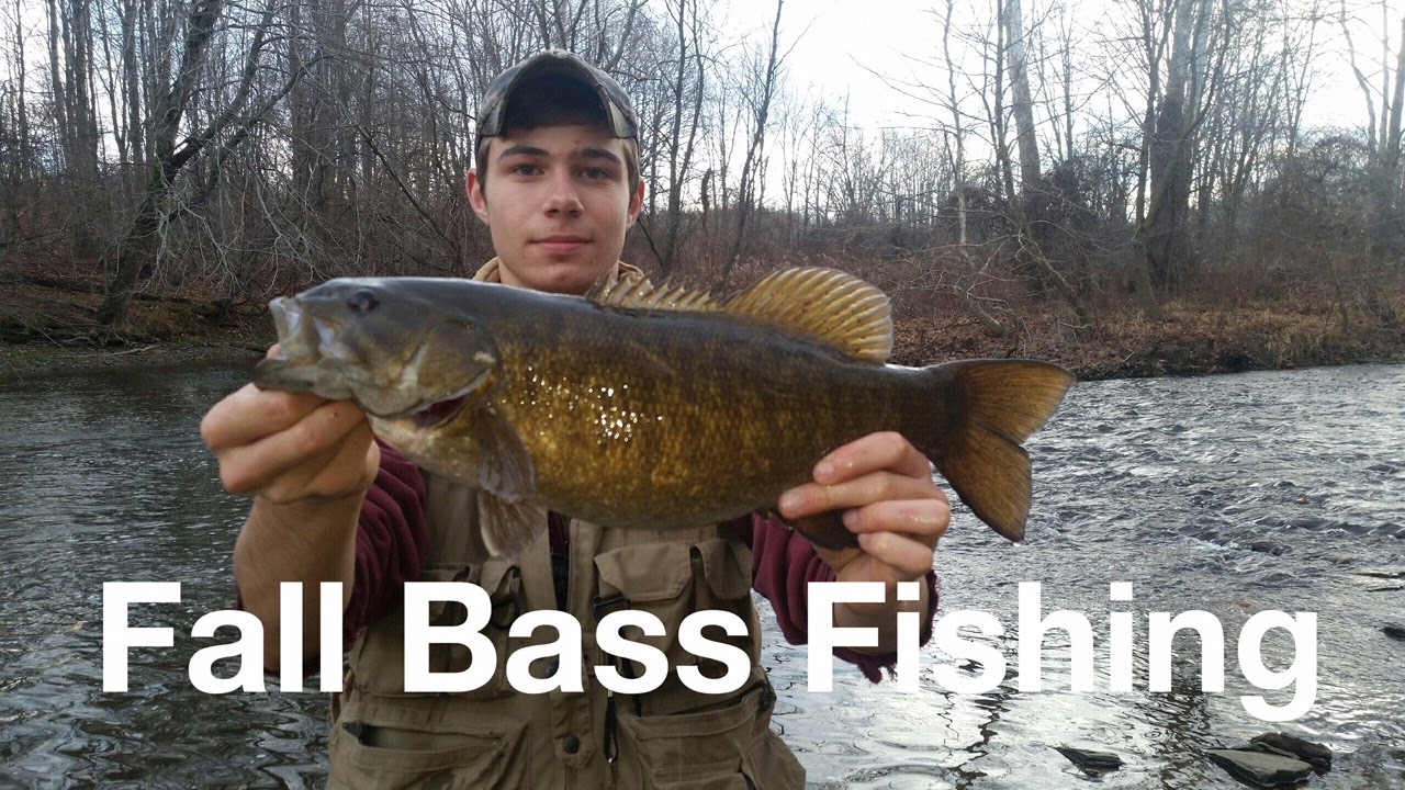 Fall Bass Fishing For Smallmouth Bass in Ohio rivers - YouTube